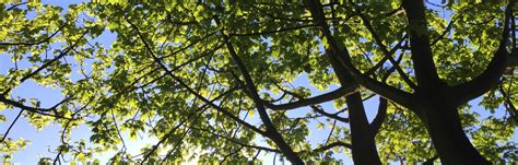 Stream Table Joins In Ksql Stream Events Must Be Timestamped After The Table Messages