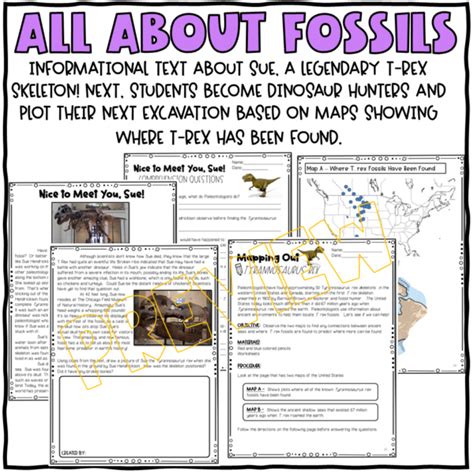 All About Fossils Made By Teachers