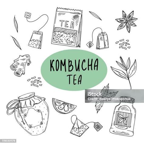 콤부차 차와 콤부차 스케치 재료 콤부차 음료 차버섯 차버섯 Kombucha에 대한 스톡 벡터 아트 및 기타 이미지
