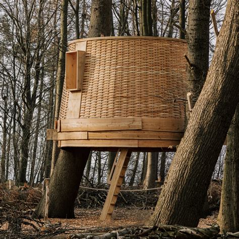 Artistree Raises A Telescopic Treehouse In California