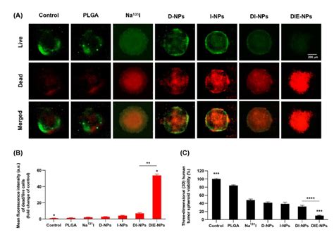 In Vitro Livedead Cell Imaging Of Three Dimensional 3d Human Tumor