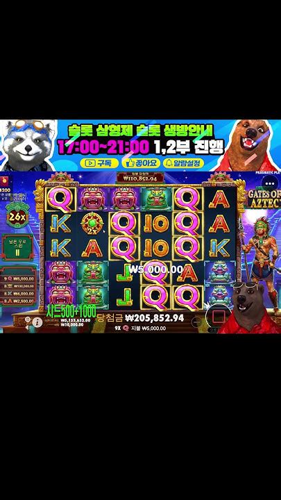 슬롯3형제 셋째 곰이 게이츠오브아즈텍 380만원 당첨 영상 드디어 너가 한 건 해주는구나 슬롯머신 슬롯 프라그마틱 잭팟 Slot Pragmatic