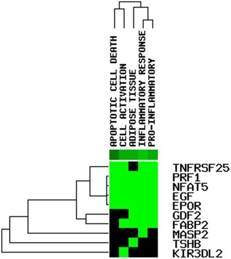 A Potential Immune Related Long Non Coding Rna Prognostic Signature For