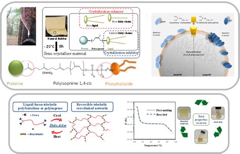 Macromolecular Engineering For Functional And Sustainable Materials Lcpo Organic Polymer