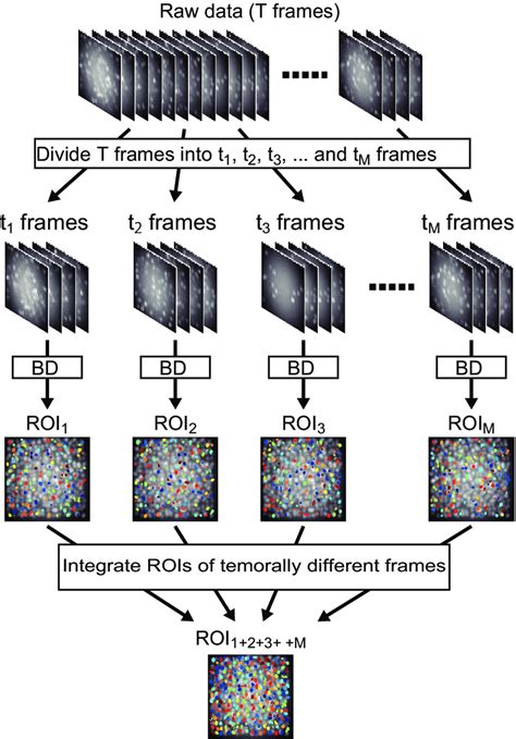 Schematic Diagram Of Lccd Taking Temporal Division And Integration Download Scientific Diagram