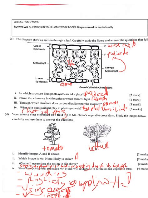Home Work 2 Pdf