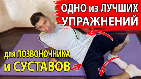 Одно из самых эффективных упражнений для позвоночника, коленных и ...