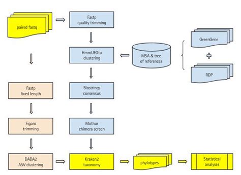The Outline Of The Pipeline The Objects Filled By Light Blue Represent