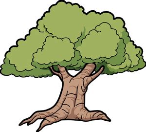 How To Draw An Oak Tree Really Easy Drawing Tutorial Artofit