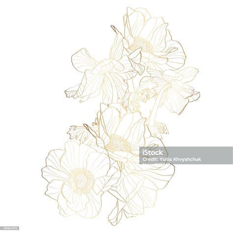 손으로 그린 여름 황금 꽃다발 소박한 말미잘 라인 아트 디자인에 대 한 흰색 배경에 고립 된 손으로 그린 꽃 고풍스런에 대한