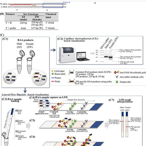 Development Of The Fish Sex Identification Method Using Download