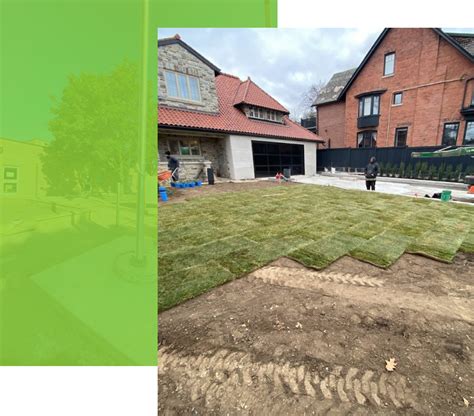 Planting And Sodding Landschaft Construction