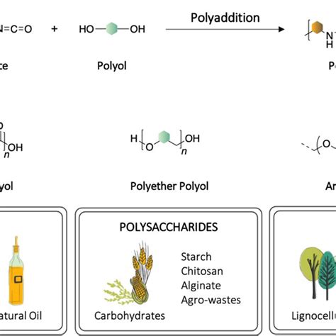 A General Scheme For The Synthesis Of Polyurethanes And B Different Download Scientific