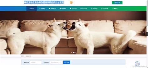 瑞奇宠物店宠物寄存管理系统的设计与实现源码开题 Csdn博客