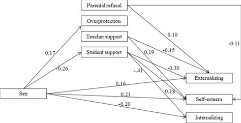 Mediation Model Of The Relationship Between Sex And Self Esteem And Download Scientific Diagram
