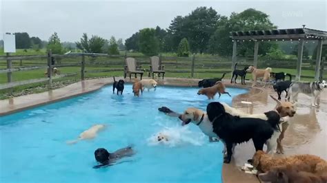 Digital Cloud Training On Linkedin Digitalcloudtraining