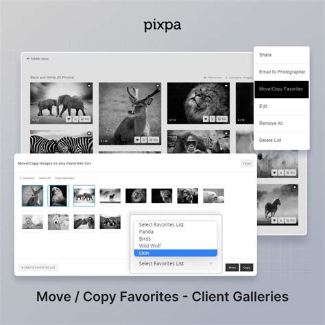 Pixpa On Linkedin 🚀 New On Pixpa Managing Your Favorite Shots Is A