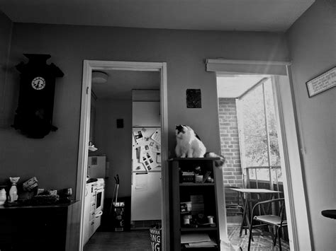 Pipen Blackandwhite Yolanda And Her Creative Scream