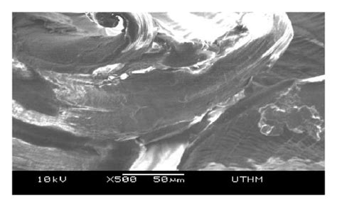 SEM Image Of Fractured Neat LDPE At 500x Magnification Download Scientific Diagram