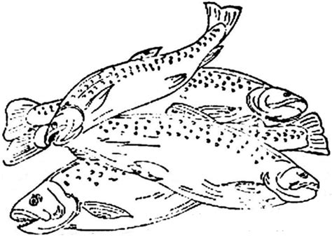 Dead Fish Drawing At Explore Collection Of Dead