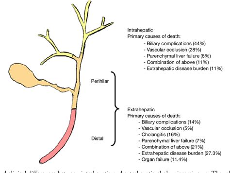 Figure 1 From Radiation Dose Escalation For Locally Advanced