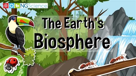 Biosphere Examples