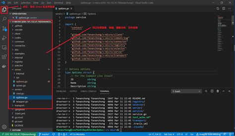 Vscode 远程 Linux 的 Golang 开发环境搭建（备忘）win Vscode 远程编译linux Go语言 Csdn博客