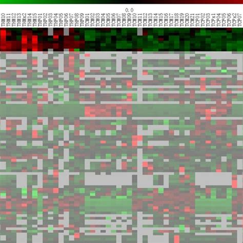 Combined Analysis Of DEG And Pathophenotype A Hierarchical