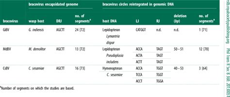 Bracovirus Circle Motifs Involved In Genomic Dna Integration Lj Left