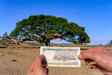 Senafe Archives Visit Eritrea