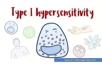 Type II Hypersensitivity Reaction Mechanism And Examples Online Biology Notes