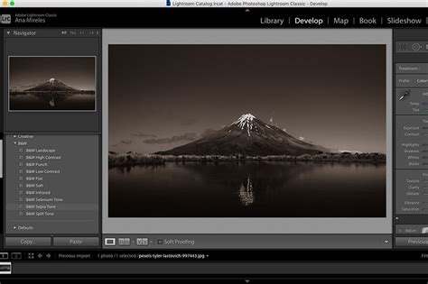 how to add a sepia filter to your photos 4 ways