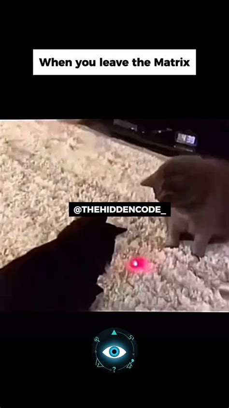 the hidden code follow me in thehiddencode 👁️ share 🌎 like if you