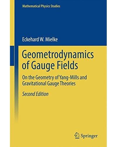 Geometrodynamics Of Gauge Fields Relié Eckehard W Mielke Achat