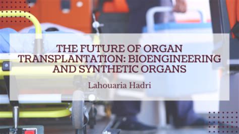 The Future of Organ Transplantation: Bioengineering and Synthetic ...