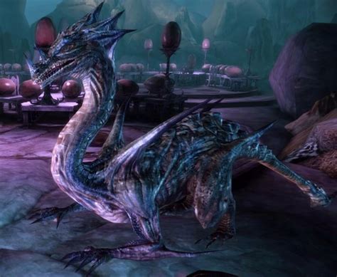 Drake Dragon Age Wiki Fandom