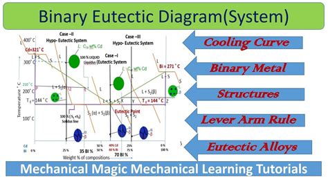Cooling Curve Eutectic Phase Diagram Practice Problems Solve