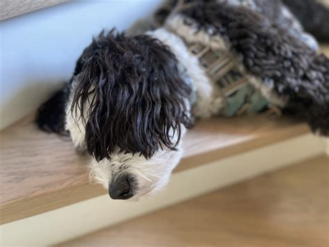 IOS 26 Beta 2 Bug Fixes Changes And Improvements Page 18 MacRumors Forums