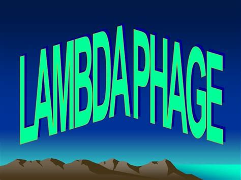 Lambda Str And Life Cycleppt