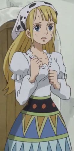 Moda One Piece Wiki Italia Fandom