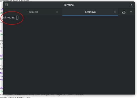 Bash Sh 44 How To Log Back Into My Default Shell Terminal Unix