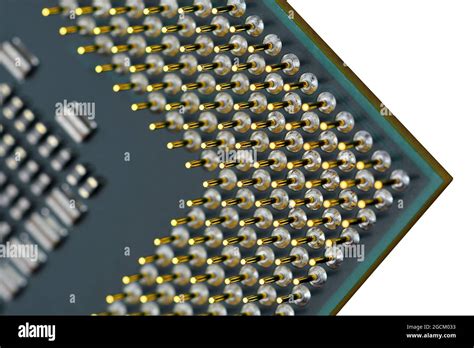 Back Side Of A Computer Processor Where You Can See All The Golden Pins That Go Into The