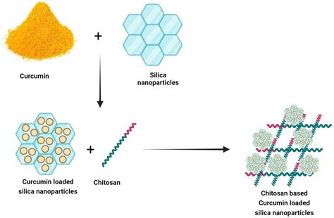 Curcumin Loaded Silica Nanoparticles Encyclopedia Mdpi