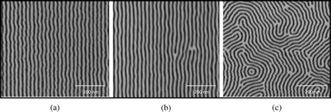 Metrology For Block Copolymer Directed Self Assembly Structures Using