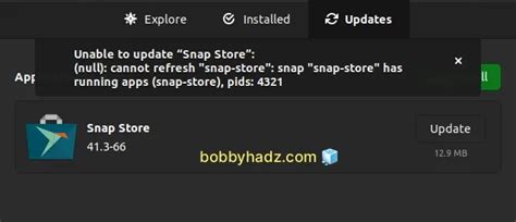 unable to update snap store cannot refresh snap store bobbyhadz