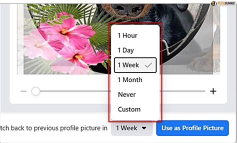 How Long Does A Temporary Profile Picture Last On Facebook