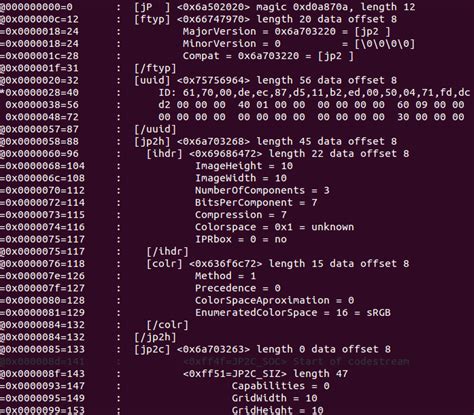 irfanview plugins jp2 image processing buffer overflow exploit