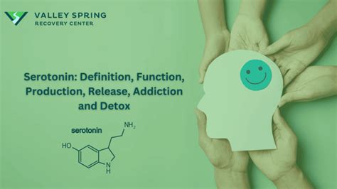 Serotonin Definition Function Production Release And Detox