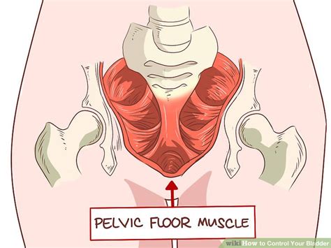Ways To Control Your Bladder WikiHow Health