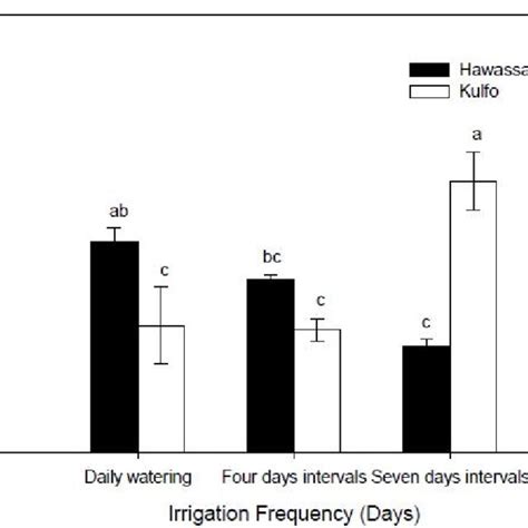 The Interaction Effect Of Genotype And Irrigation Frequency On